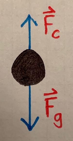 Curving Motion - Physics Book