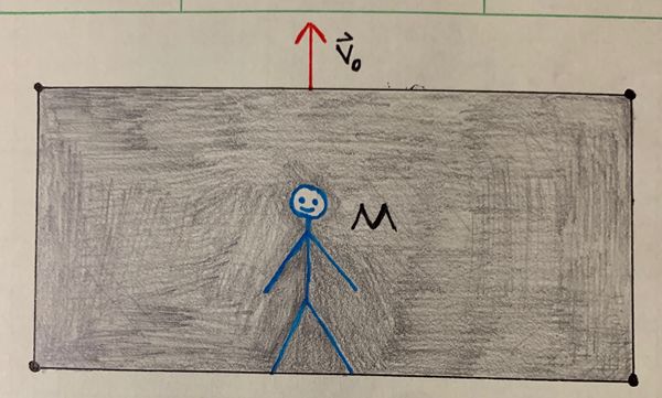 Free Body Diagram - Physics Book